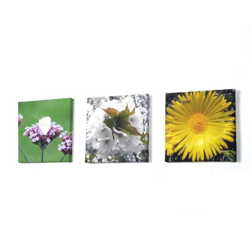 Mini Canvas Prints. Small Canvas Prints. Mini Photo Canvas Printing